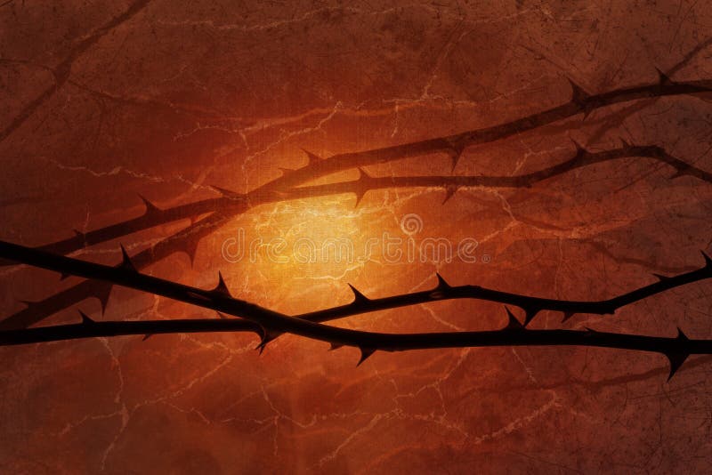 Dark rose thorns stock photo. Image of experimental, burned - 3260848