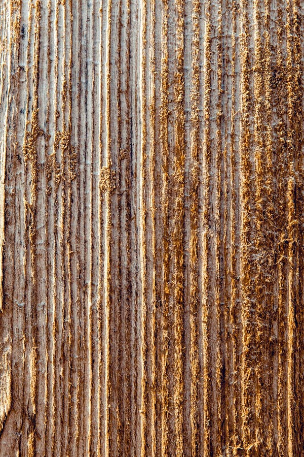 Dark Rough Wood Surface Texture Stock Photo - Image of panel, carpentry ...