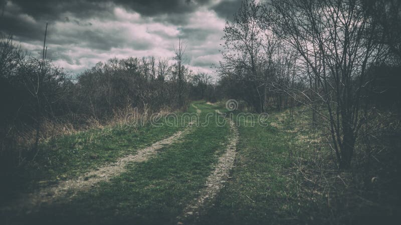 Dark Rural Road stock photo. Image of grass, scenery - 91680154