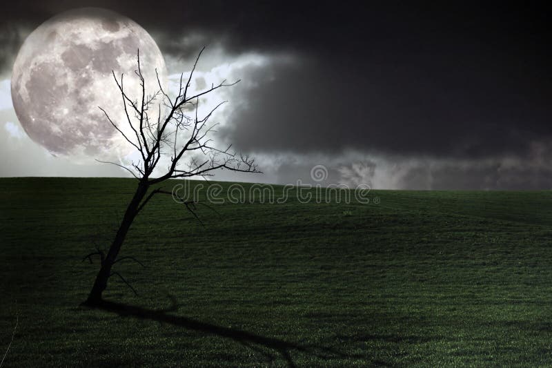 Dark scenery stock image. Image of tree, night, design - 19283515