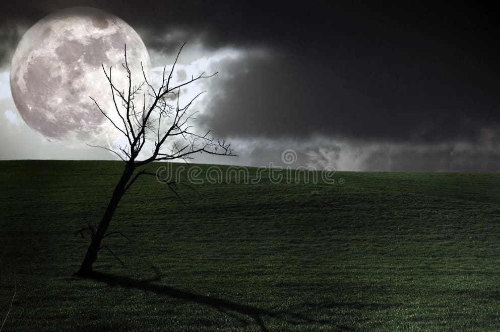 Dark scenery stock image. Image of tree, night, design - 19283515