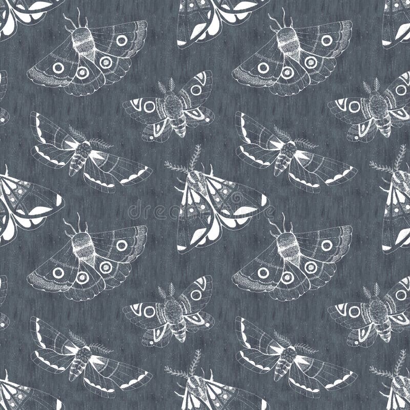 Scary Moth Dark Stock Illustrations – 130 Scary Moth Dark Stock ...