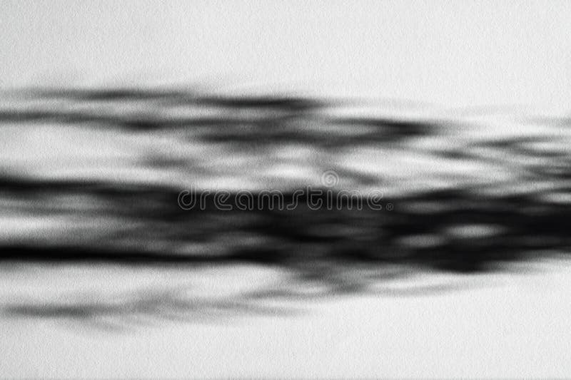 Dark Shadow from the Branches on a White Surface Stock Photo - Image of ...