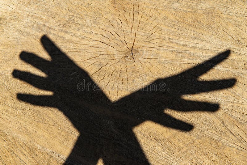 Dark Shadow. the Shadow of a Hand on a Wooden Stump Stock Image - Image ...