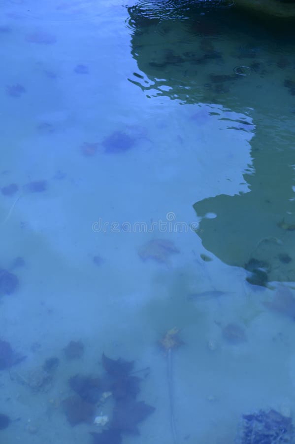Dark Shadow Reflection in Water with Ripples Stock Image - Image of ...