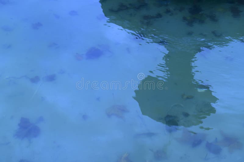 Dark Shadow Reflection in Water with Ripples Stock Image - Image of ...