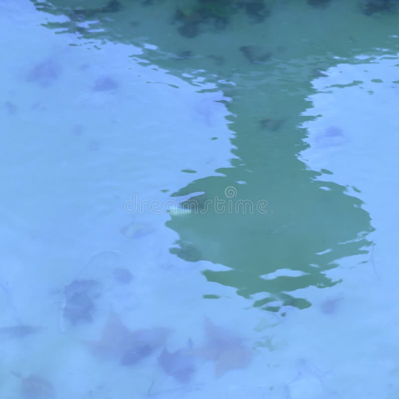 Dark Shadow Reflection in Water with Ripples Stock Image - Image of ...