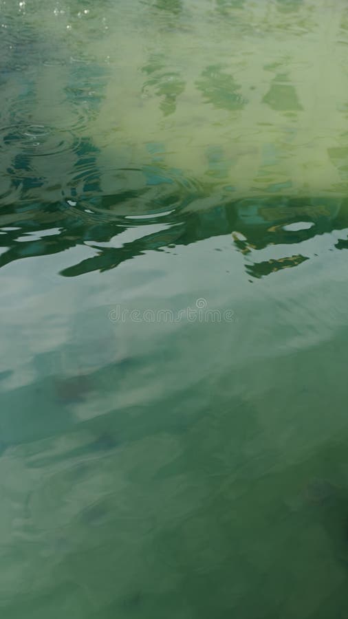 Dark Shadow Reflection in Water with Ripples Stock Image - Image of ...