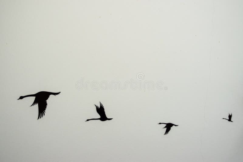 Shadows of birds stock photo. Image of background, animal - 27272784