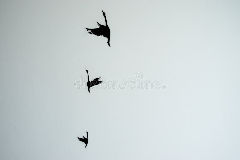 Shadows flying stock image. Image of peak, golden, birds - 5667449