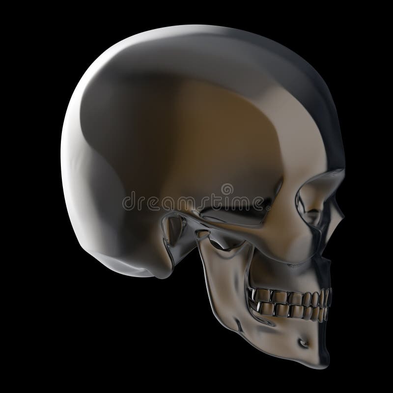 311 Render Skull Stock Photos - Free & Royalty-Free Stock Photos from ...