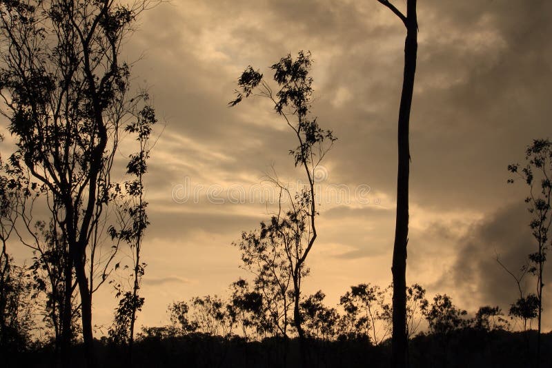 Dark Side stock photo. Image of sepia, evening, print - 44363474
