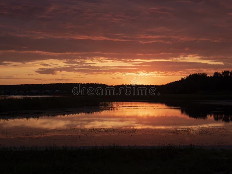 The Dark Silhouette of the Forest on the River Bank at Sunset Stock ...