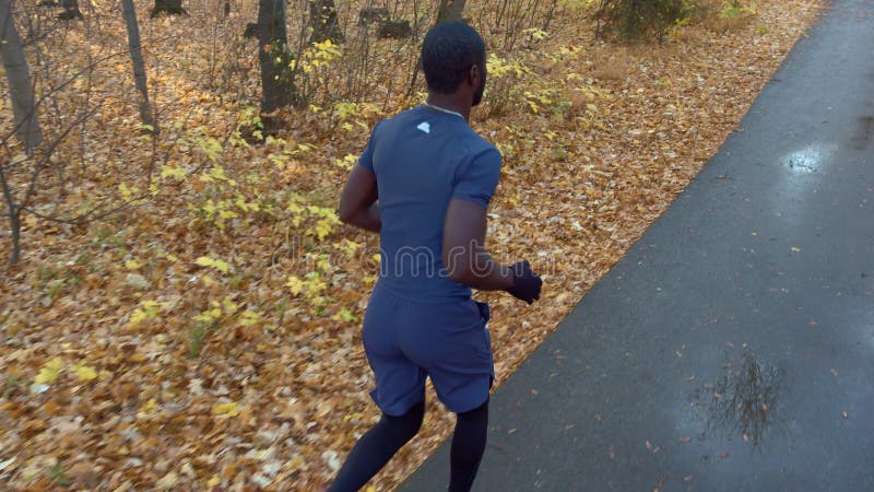 A Dark-skinned Man Runs through the Park Illuminated by the Rays of the ...