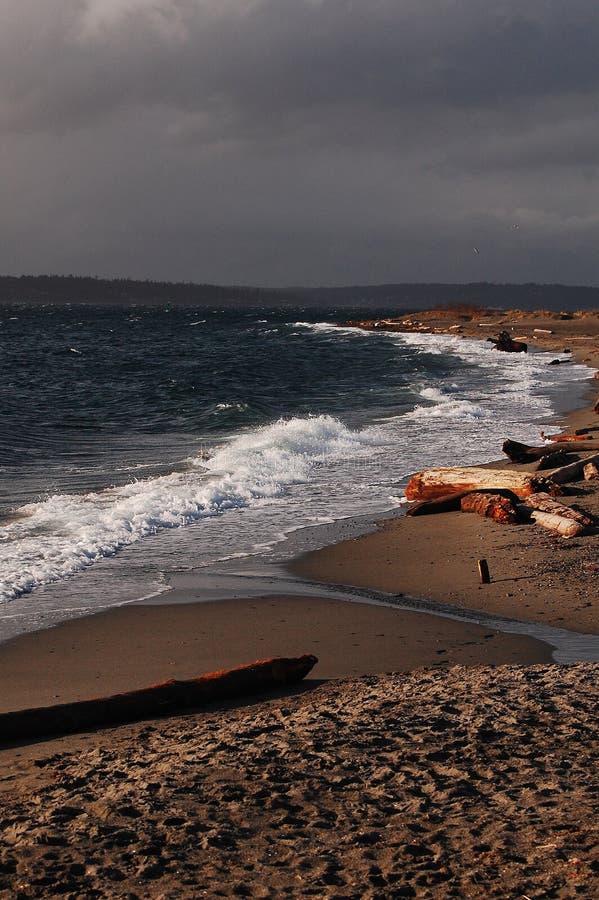 Dark sky and churning surf stock image. Image of driftwood - 57546423