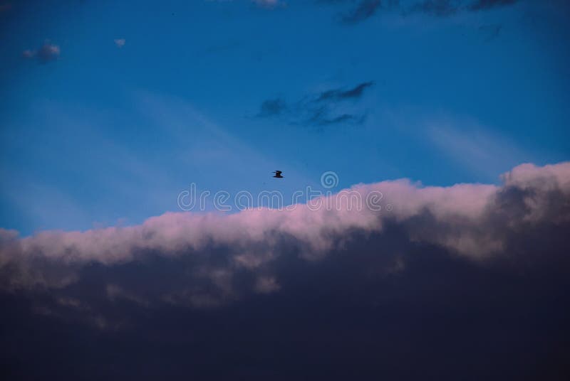 Dark Sky and Clouds, Bird Flying, Landscape, Dynamic Sky, Beautiful Sky ...