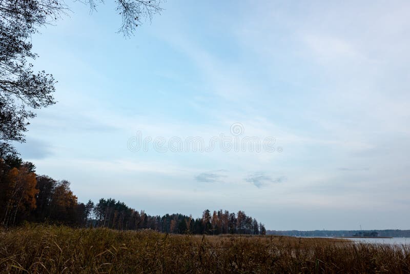 Dark sky over trees stock photo. Image of freedom, background - 82895444
