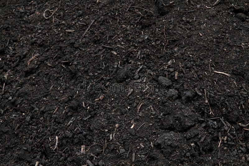 Soil stock image. Image of nature, black, field, humus - 11853215