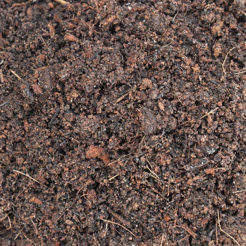Dark soil texture stock photo. Image of closeup, fertile - 41094786