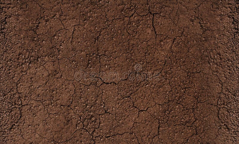 Soil Background Texture