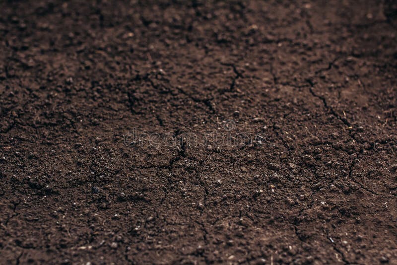 Dark Soil Texture