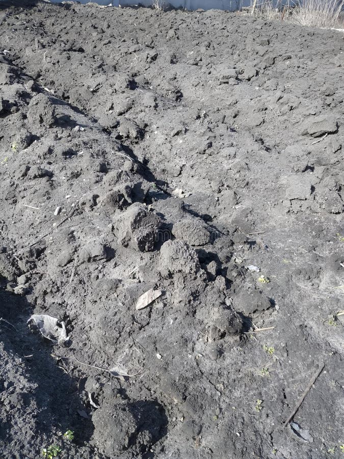 Dark Soil Texture in Spring before Planting Stock Image - Image of ...