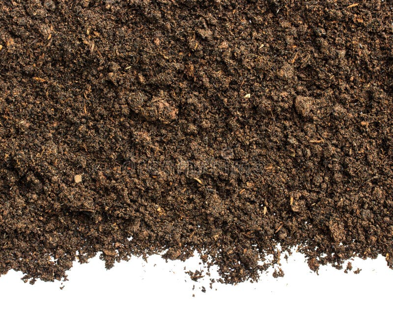 Dark Soil on White Background.Top View of a Soil Stock Image - Image of ...