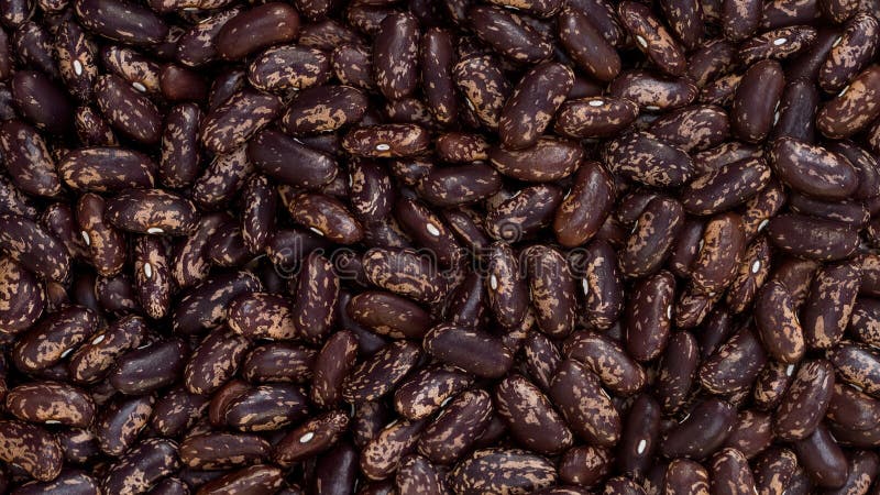 Dark Spotted Beans Close Up Stock Image - Image of health, dark: 261438773