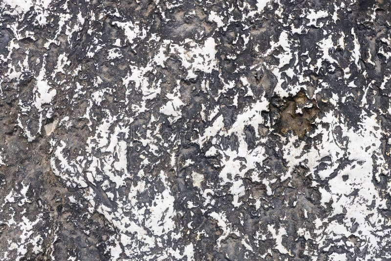 Dark Stone with Irregular White Mineral Layers Stock Photo - Image of ...