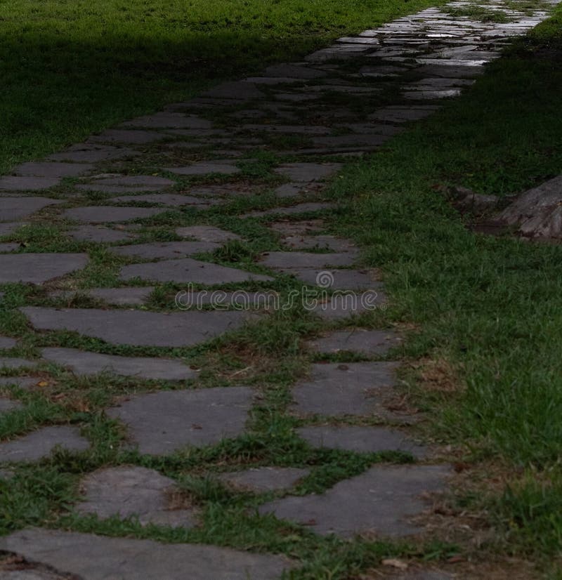 Stone path in green grass stock image. Image of exterior - 308827821