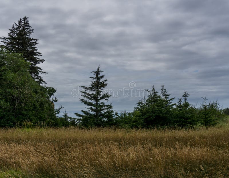 Dark Storm Clouds Above Yellow Field As Night Landscape. Stock Photo ...