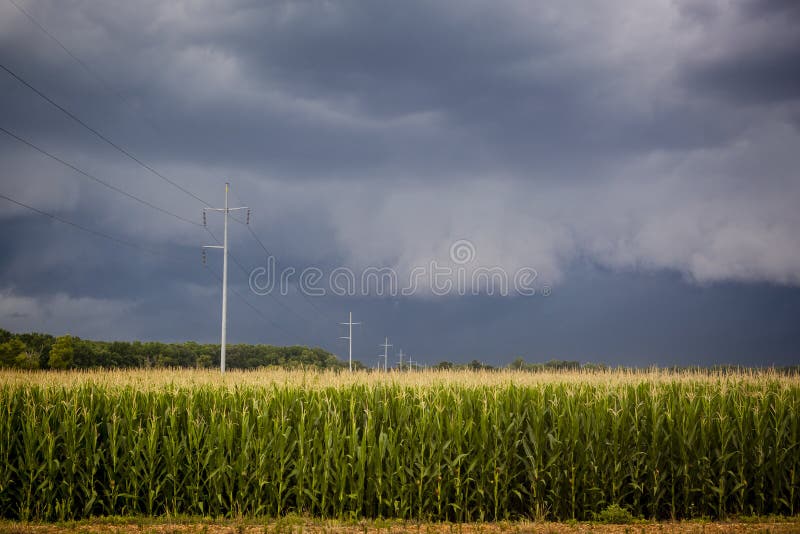 Dark Storm Clouds Over Corn Fields Stock Image - Image of yellow ...