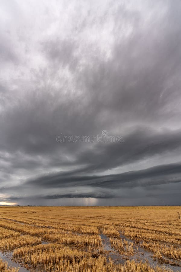 Dark Storm Over the Flooded Rice Fields and Antenna in Valencia Stock ...