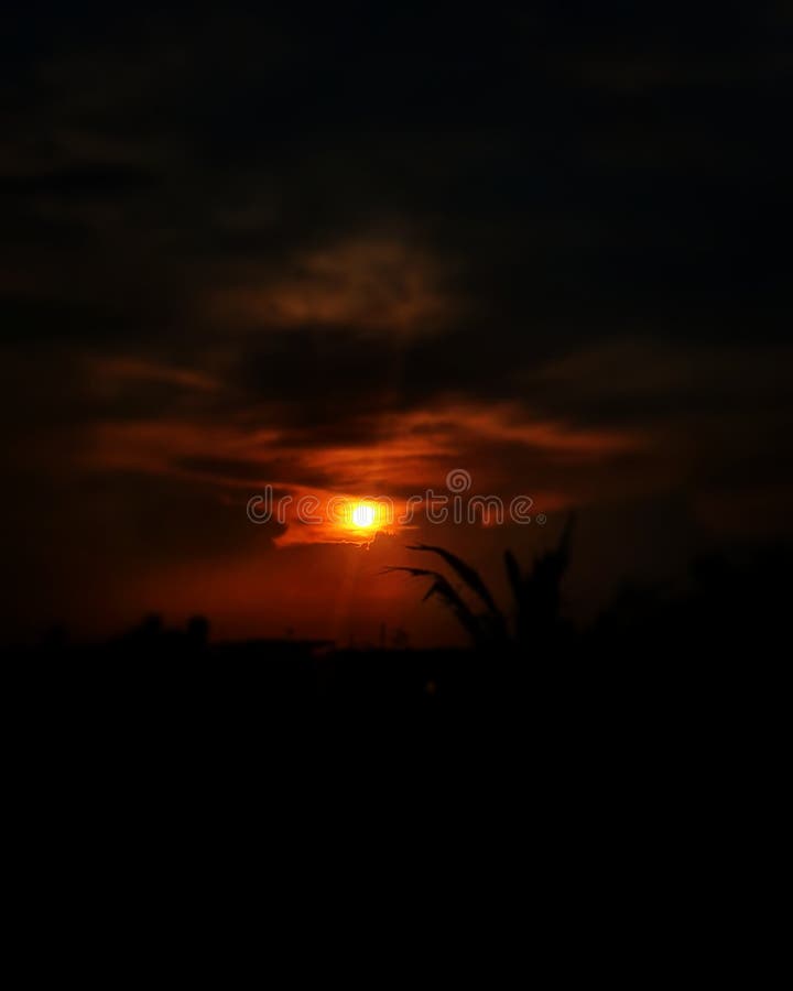 The dark SUN stock photo. Image of lighting, evening - 239134558