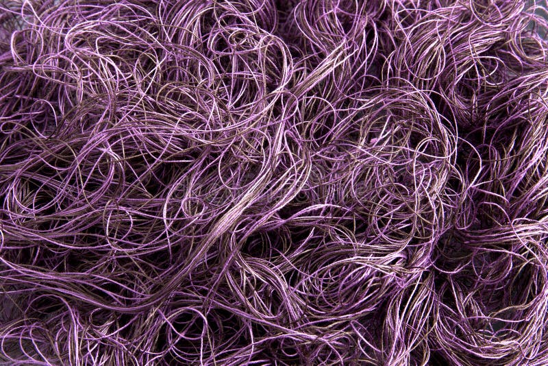 Dark Tangled Branches of Dry Trees Stock Photo - Image of thin, tree ...