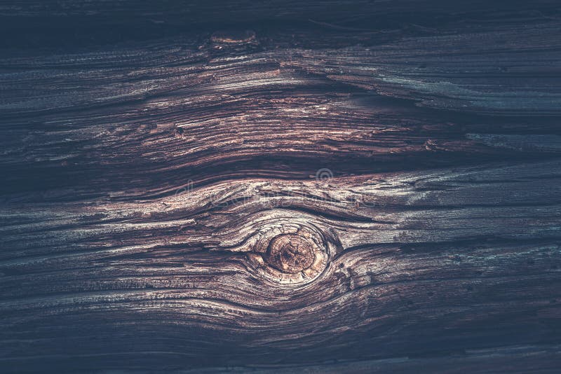 Dark Texture of an Old Log. Stock Image - Image of panel, fissure ...