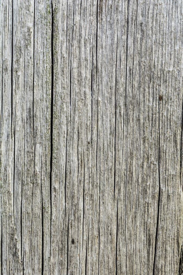 Dark Texture of Old Natural Wood with Cracks from Exposure To Sun and ...