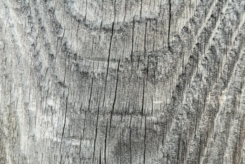 Dark Texture of Old Natural Wood with Cracks from Exposure To Sun and ...