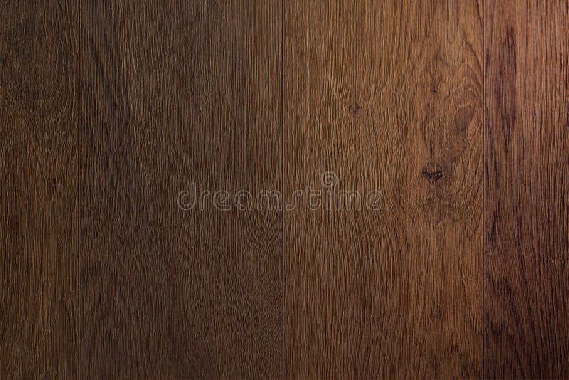 Dark Texture of Tree of the Oak Tree with Backlit Top. for Des Stock ...