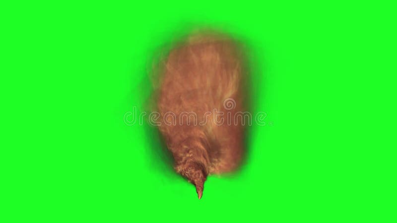 Dark Tornado on Green Screen Stock Footage - Video of magic, abstract ...