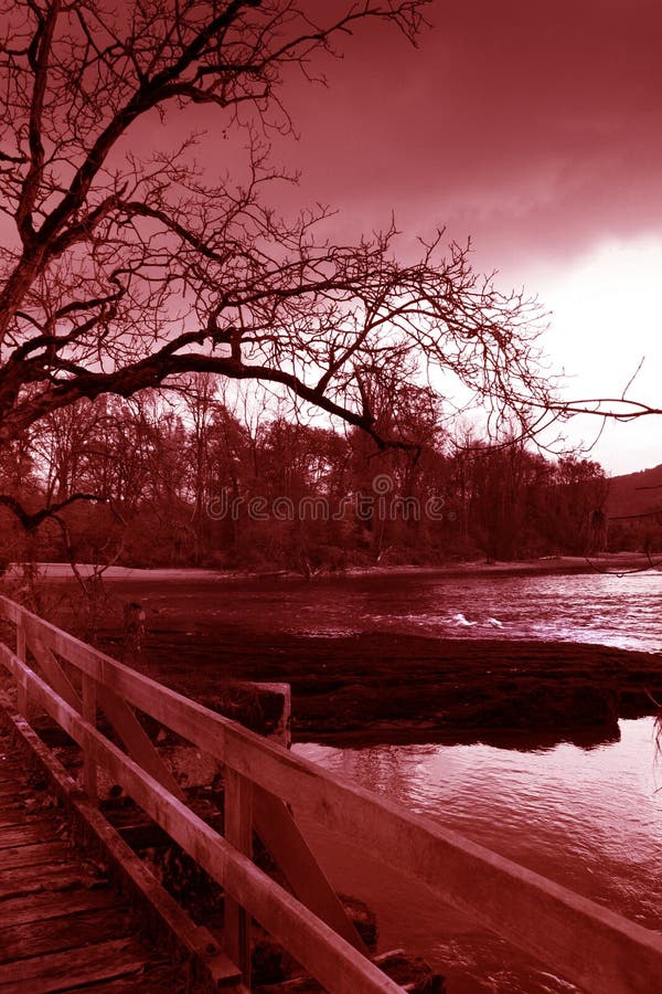 Dark tree stock photo. Image of frame, rough, collage - 3042606