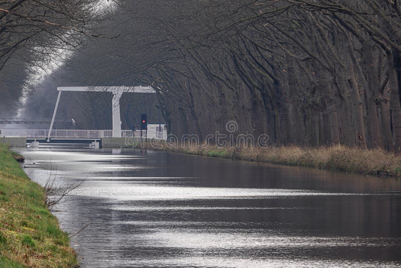 Dark Tree Branches Hanging Over a Canal Stock Image - Image of ...