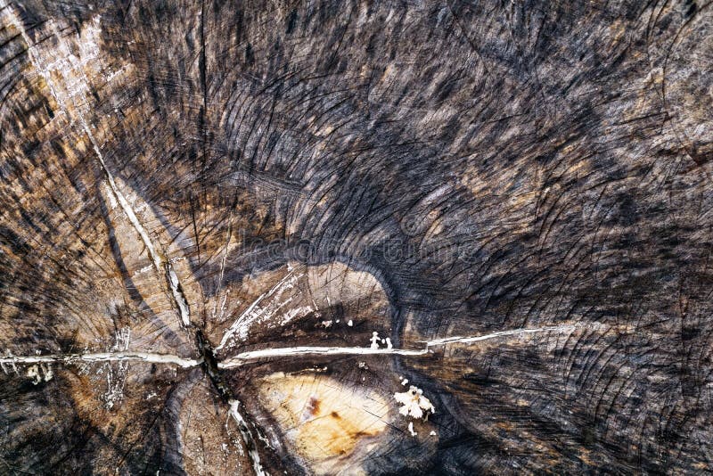 Dark Tree Stump Textured Surface. Grungy Abstract Background Stock ...