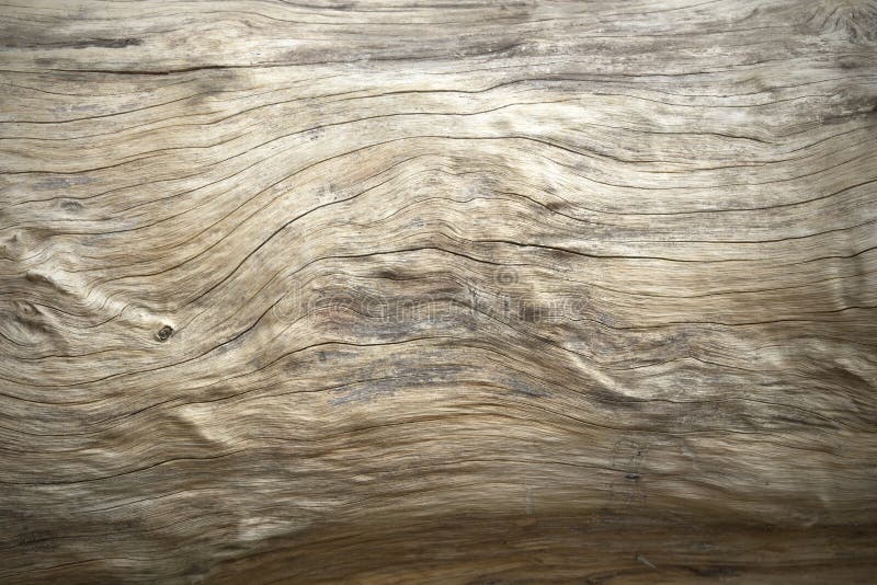 Dark Tree Texture with Old Nature Pattern Stock Image - Image of table ...