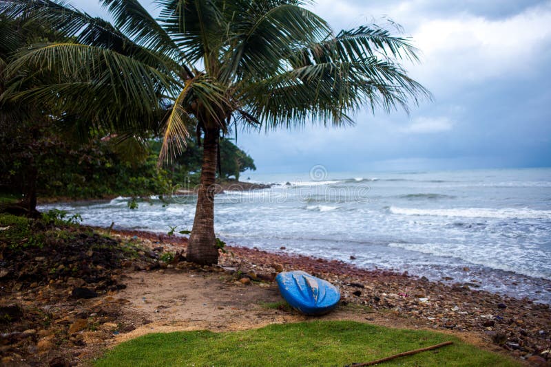Dark Tropical Landscape, Palm Trees on the Ocean Coast Stock Image ...