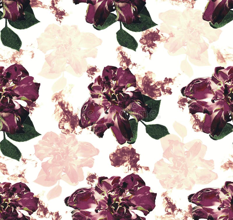 Dark Velvet Pink Colored Rose Flower Pattern Stock Illustration ...