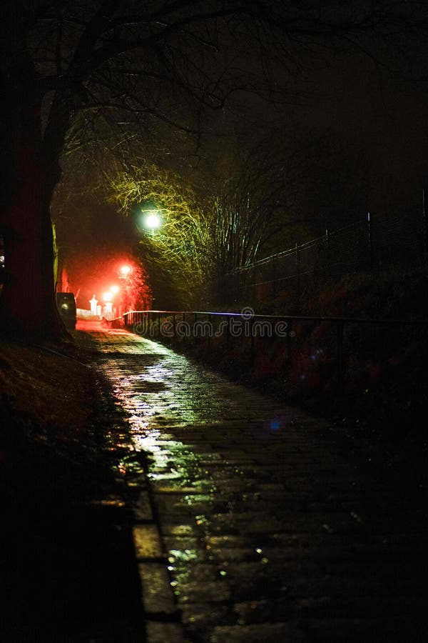 Dark view on path to light stock image. Image of green - 239923499