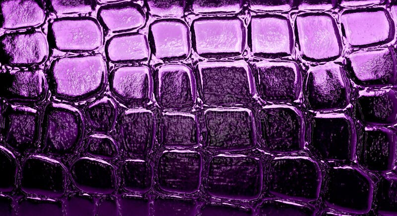 Dark Violet Alligator Patterned Background Stock Image - Image of ...