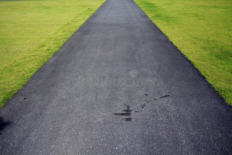 Divergence of Paths: a Wide Asphalt Road in the Park is Divided into ...