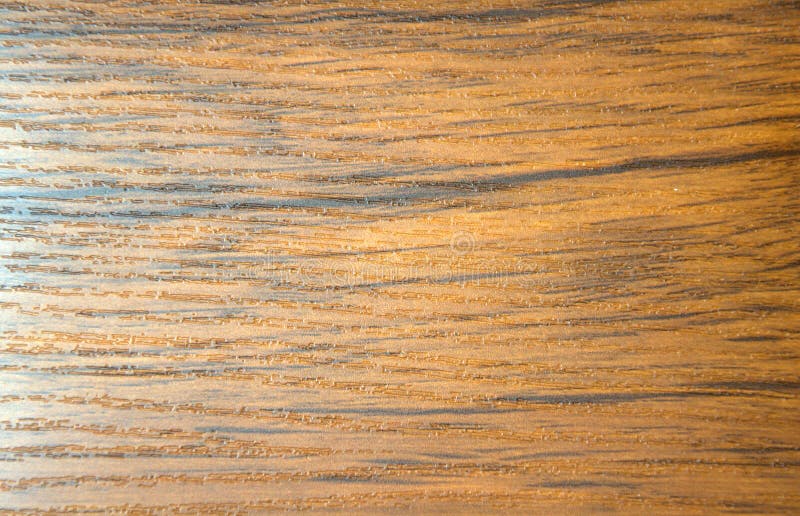 Dark Walnut, Natural Pattern on the Cut. Background, Texture, Close Up ...
